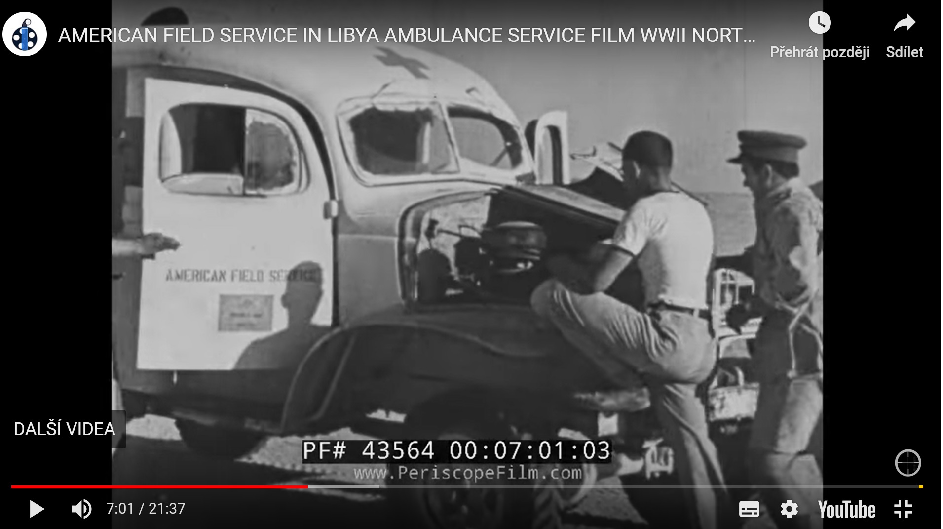 WC-19 help needed - Missing-Lynx